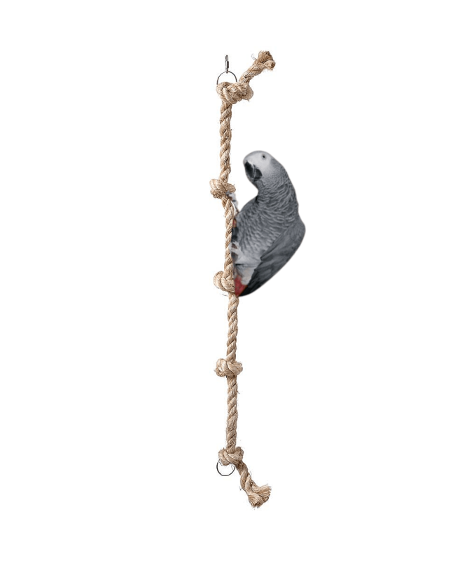 African Grey Swinging and Climbing Parrot Toy Pack