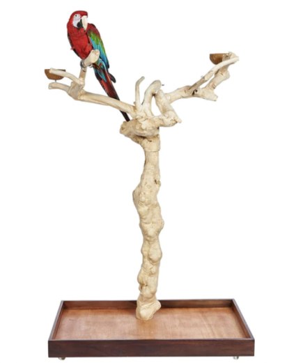 Java Wood X-Large - Natural Hardwood Parrot Playstand, Large Macaw ...