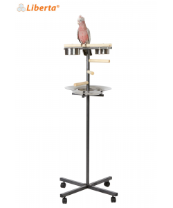 Parrot Play Stands