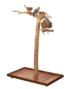 Parrot Play Stands